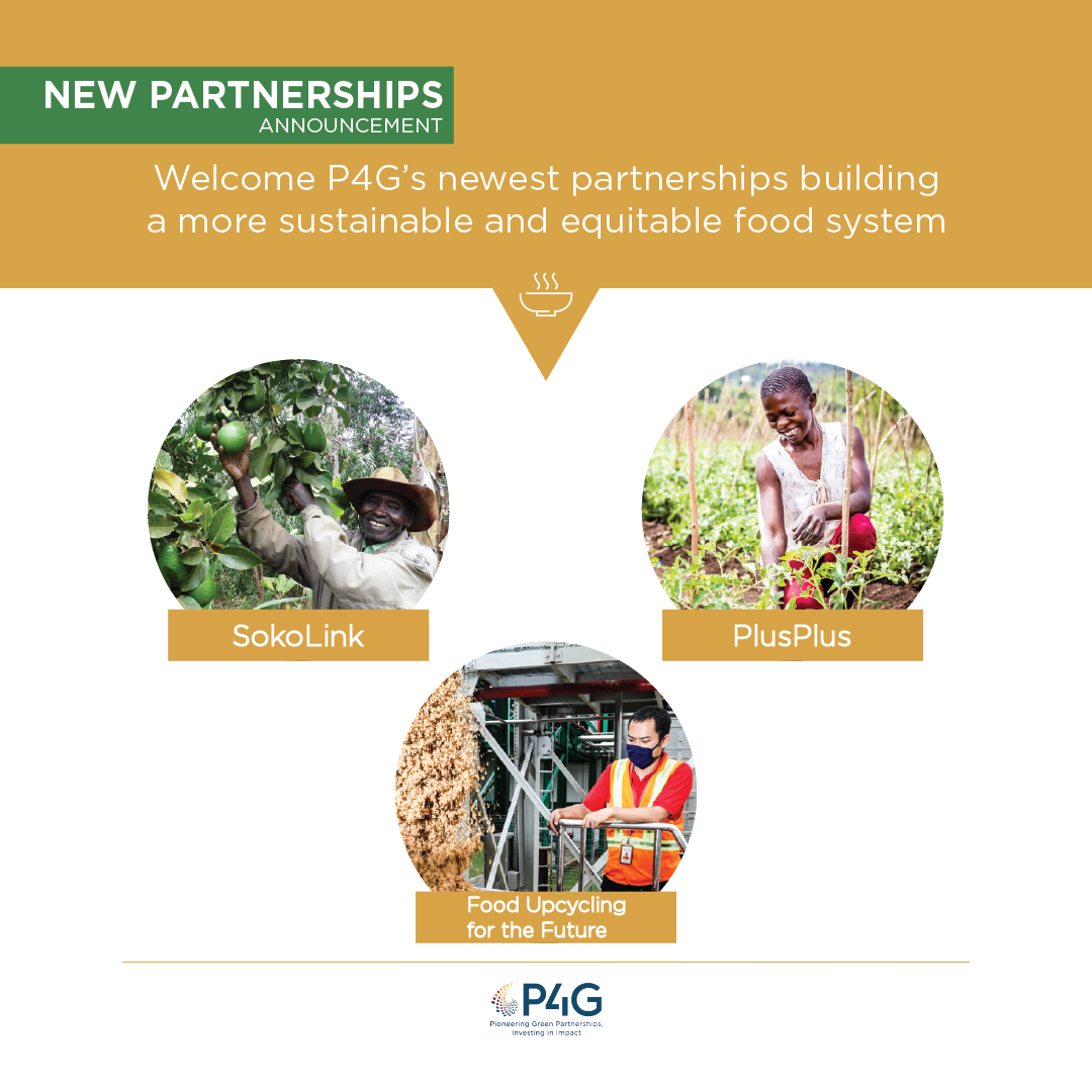 Introducing P4G's New Food and Agriculture Partnerships | P4G