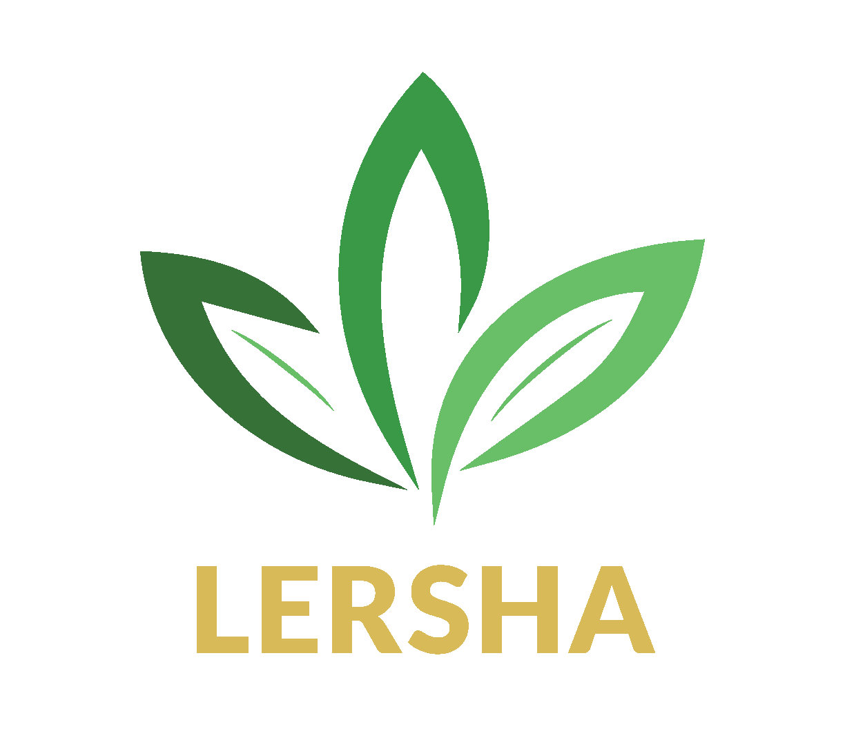Lersha – CIAT | P4G